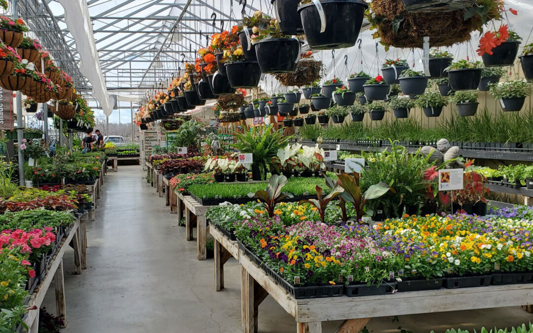 Oakridge Garden Centre